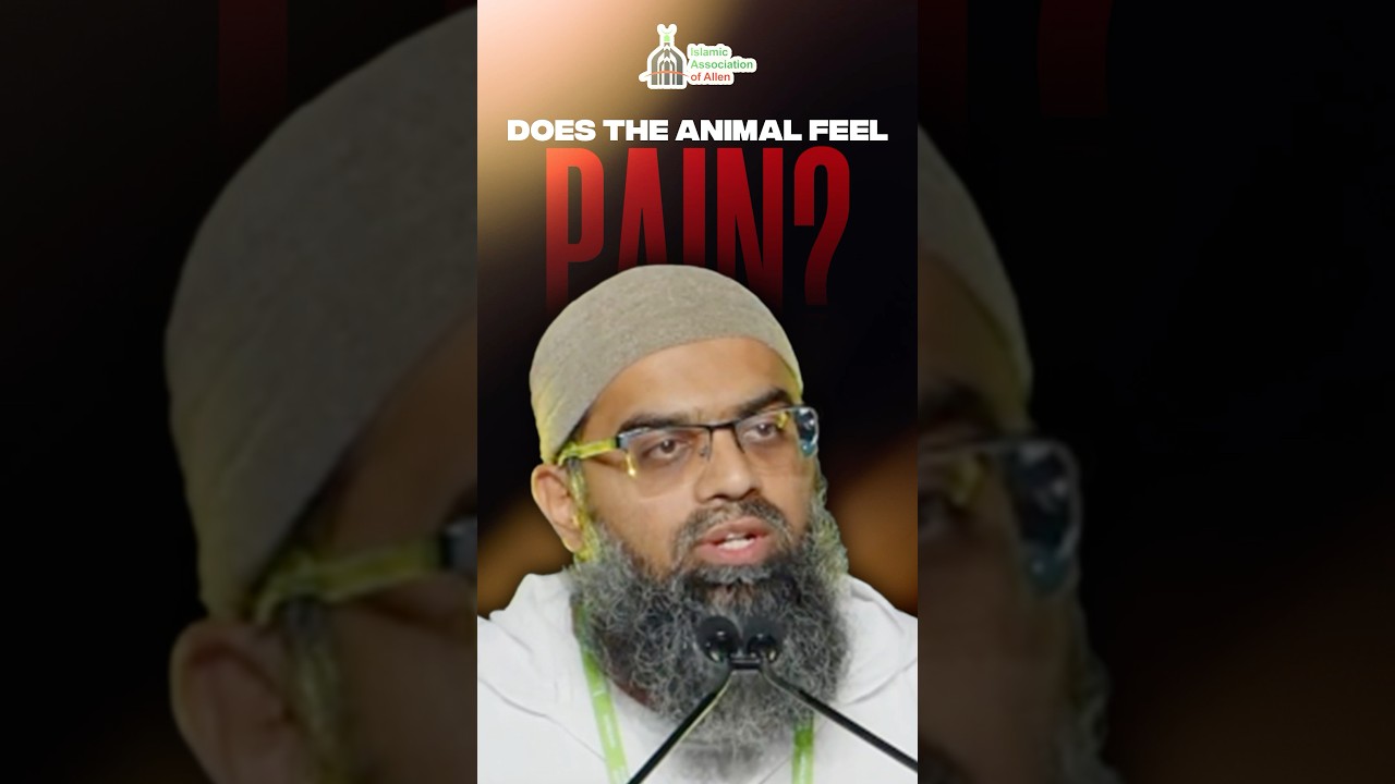 Media Gallery - Islamic Association of Allen - Welcome to IAA