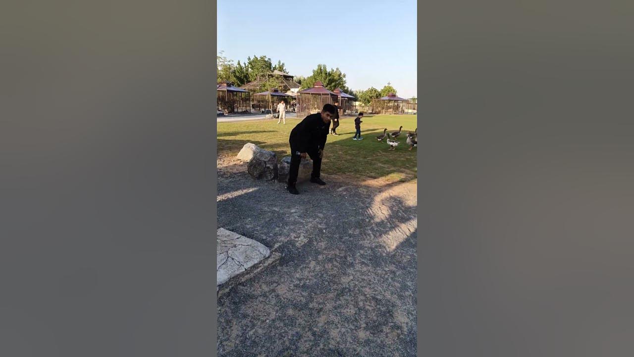 Some enjoyable time at UAE Sharjah zoo - YouTube