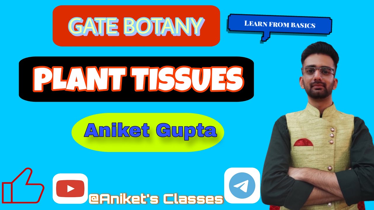 PLANT TISSUES LECTURE 1 | GATE BOTANY | TARGET GATE 2024 | # ...
