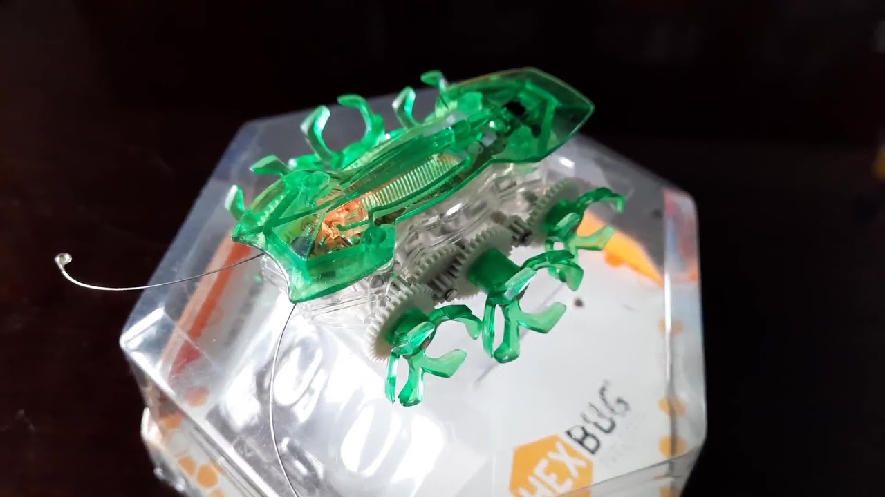 Hexbug Fire Ant - Remote Controlled Insect - YouTube