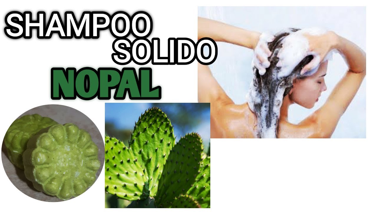 Como hacer un SHAMPOO SOLIDO DE ‟ NOPAL ” 🌵🍃 | Para cabello normal ...