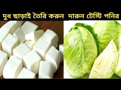 মাত্র 10 টাকার বাঁধাকপি দিয়ে বানিয়ে ফেলুন সেরা স্বাদের পনির ...
