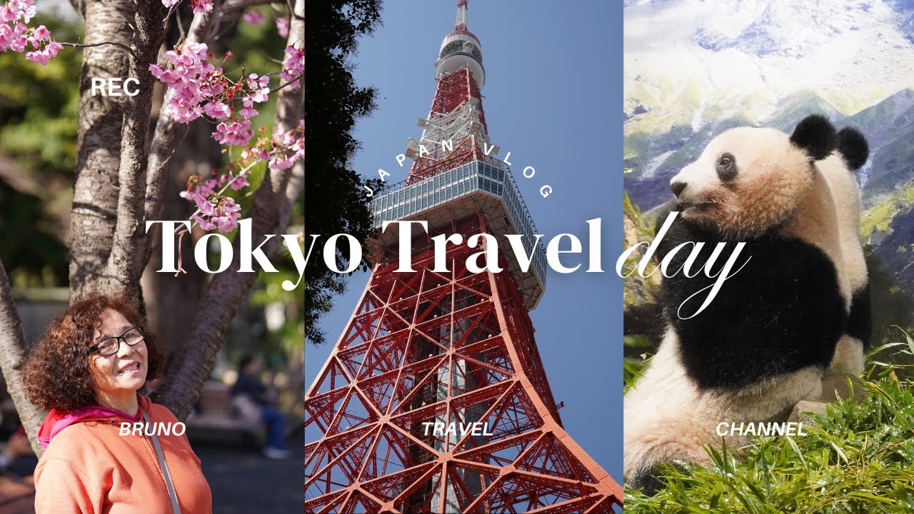 Ueno zoo Tokyo! Panda Time!! Tokyo Tower - YouTube