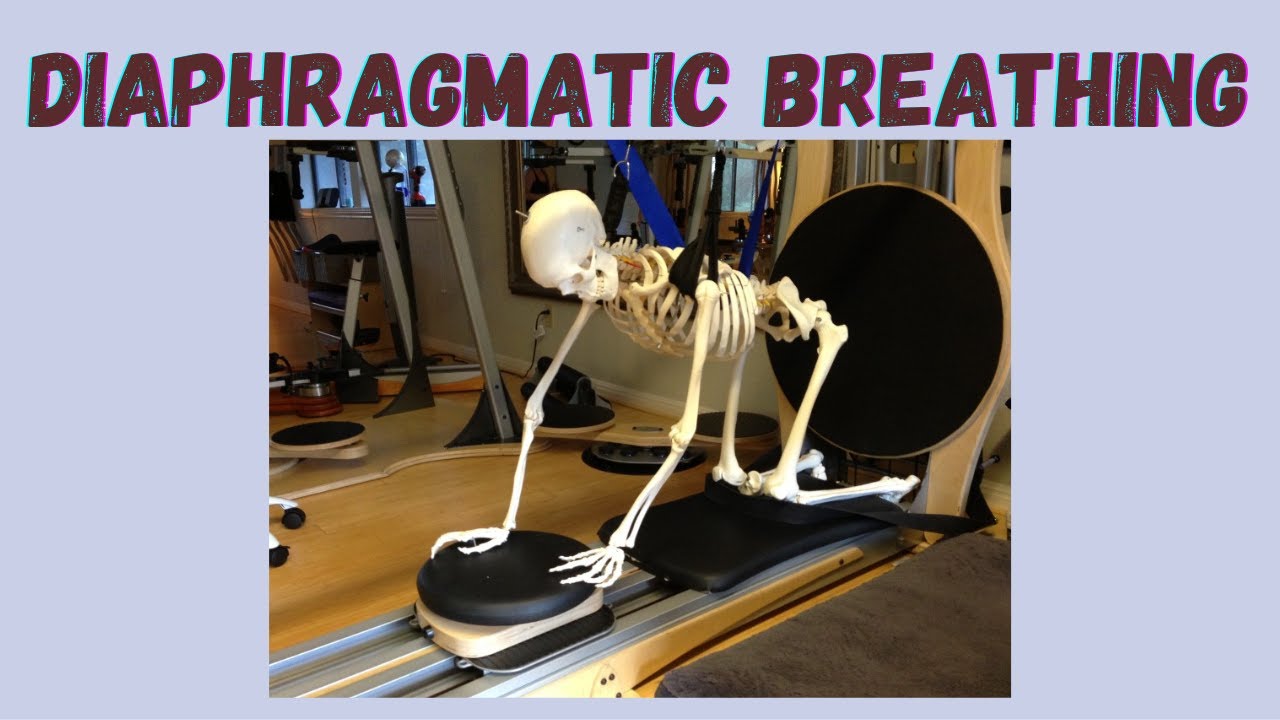 Rib Flare Breathing Exercises at Cornelia Angulo blog Rib Flare Breathing Exercises at Cornelia Angulo blog