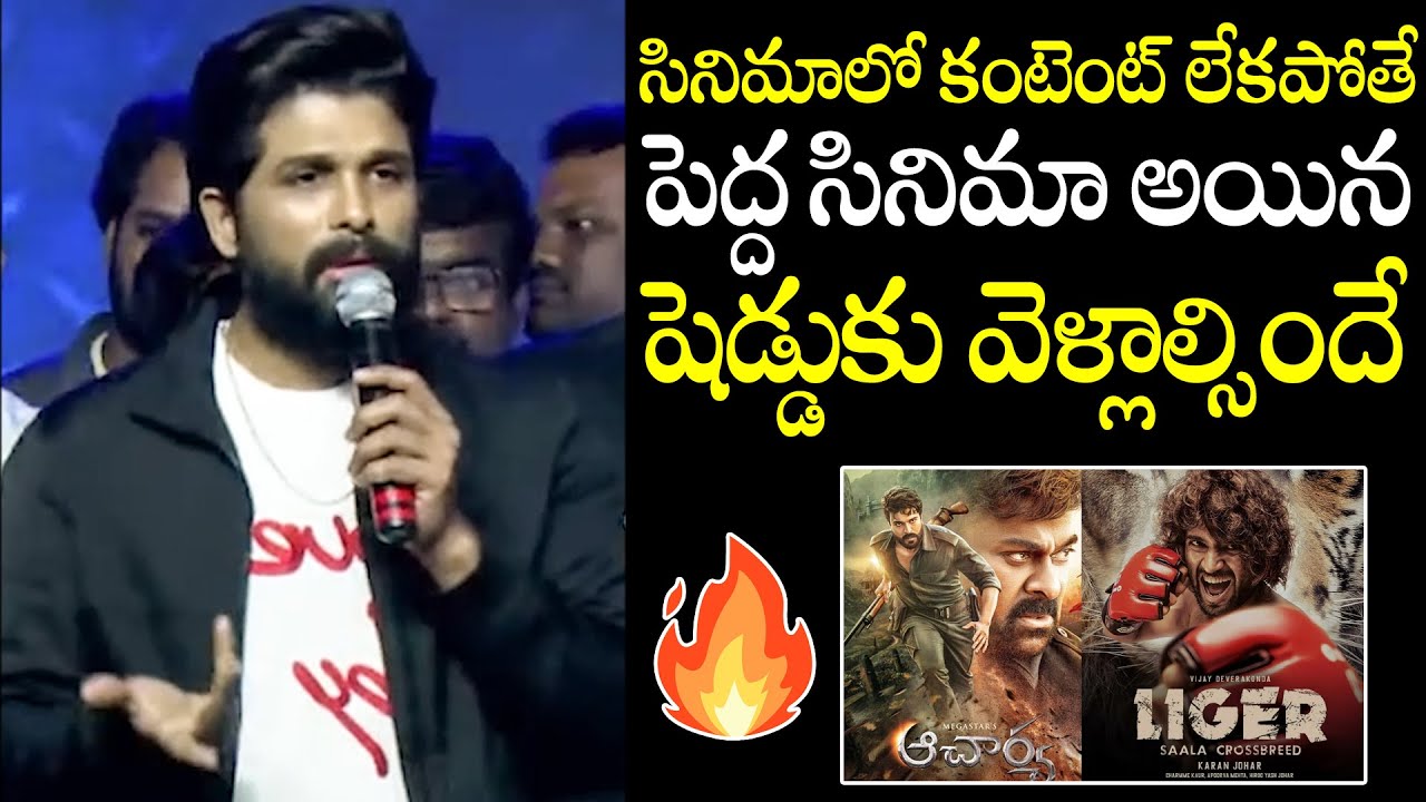 Allu Arjun Comments On Big Budget Movies | Allu Arjun Speech | Alluri ...