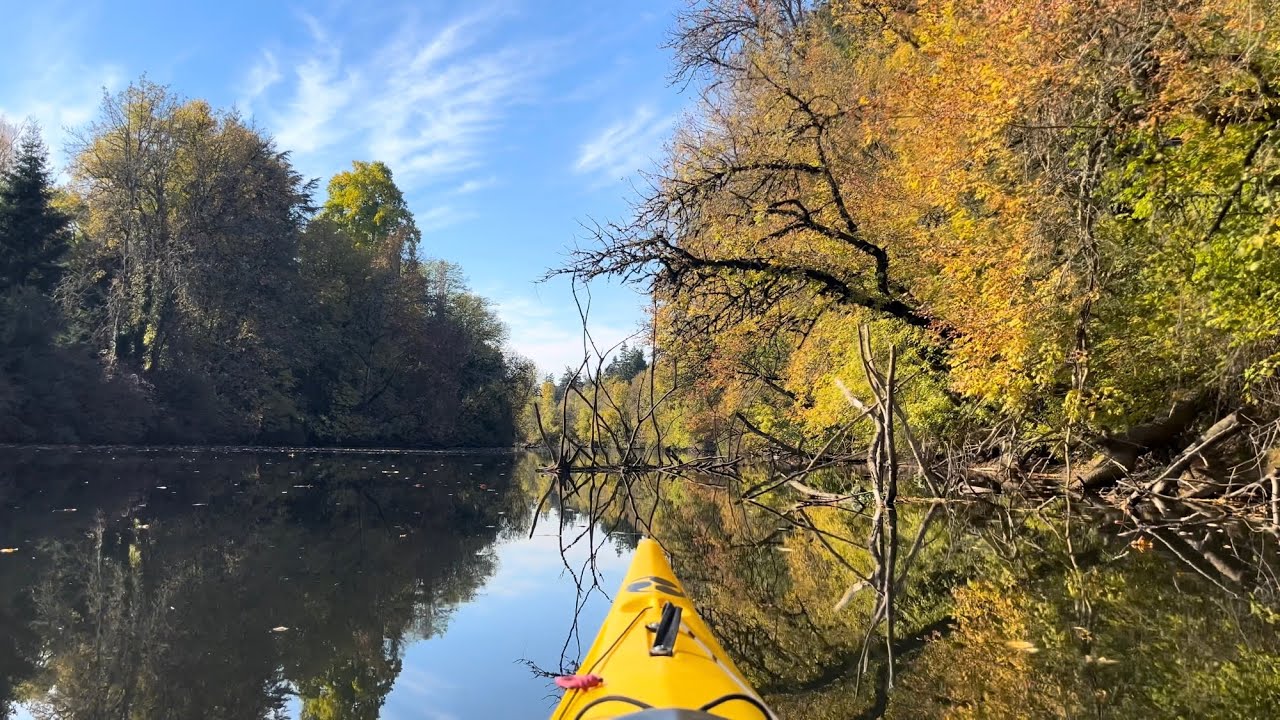 Fall colors paddle in 4K--turtle, reflections - YouTube