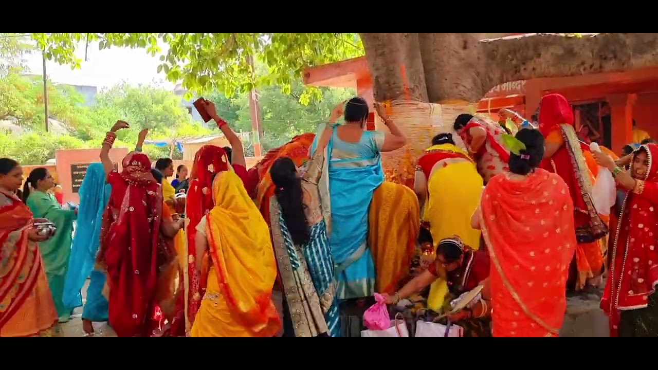 वट सावित्री ब्रत bat savitri brat ktha#viral #trending #sorts - YouTube