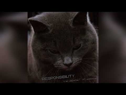 The Secret Of Emelya - Resposobility