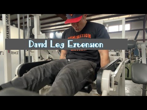 David Leg Extension--Best Selectorized Leg Extension?? - YouTube