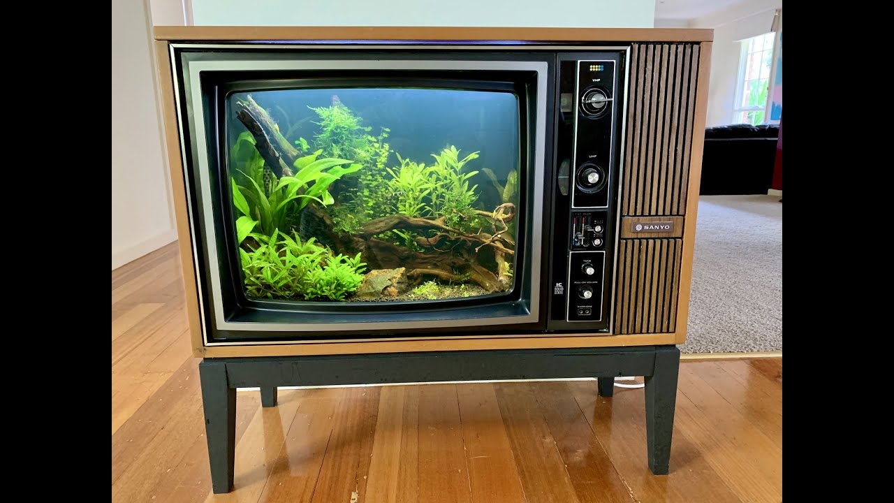 TV Fish Tank - YouTube