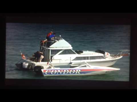 Shark Attack 3: Megalodon (2002) - Attacking the Parasailors
