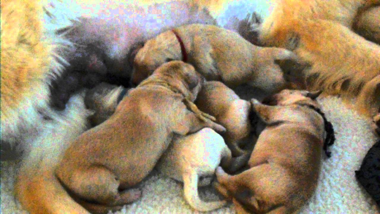Space litter eating Aug 4, 2012 - YouTube