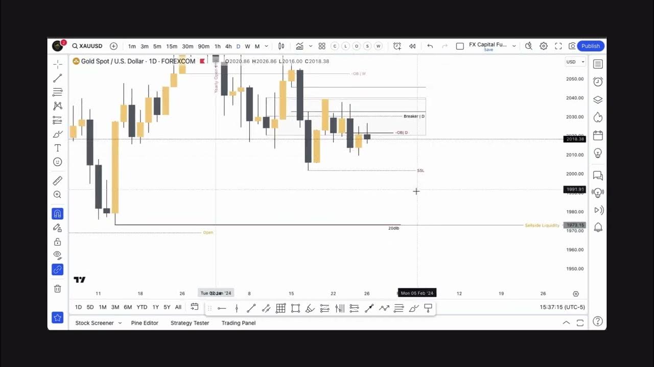 Forex Market Breakdown for this week | 28 January 2024 | FX Capital Funding DXY , NAS100 , XAU ...