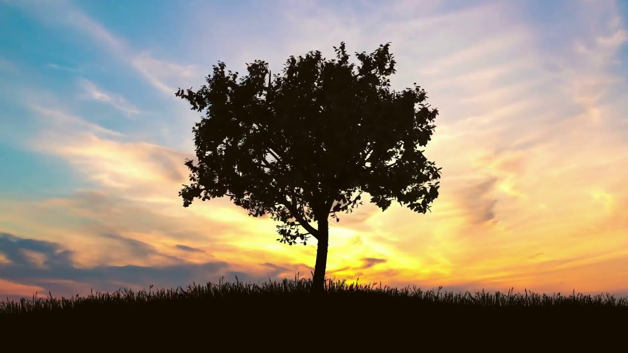 Calming Nature Scenes with Piano Music: Perfect for Stress Relief ...