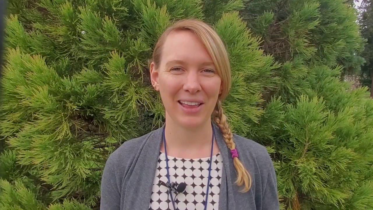 Laura Turpen - DPHN- Stigma and Privacy- 04/06/2020 - YouTube