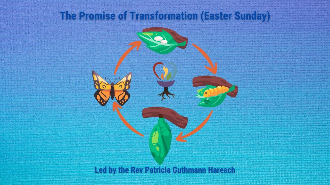 The Promise of Transformation (Easter Sunday) - YouTube