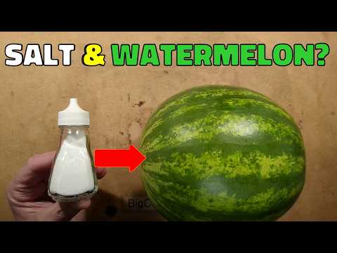Salt on a watermelon?  The South Main Auto challenge