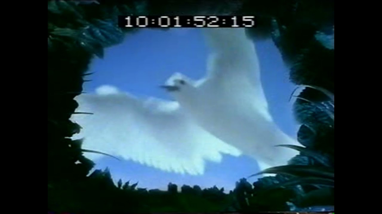 The Natural World Theme - composed by Matt Finch - YouTube