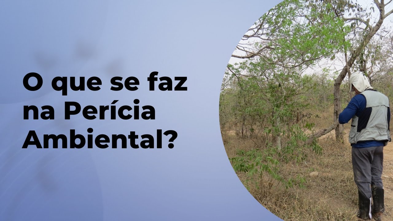 VOCÊ SABE O QUE SE FAZ NA PERÍCIA AMBIENTAL? - YouTube