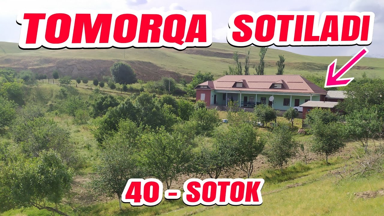 Tomorqa Sotiladi 40-Sotok Uy Joyi bilan Birga |Sotiladi Surxondaryo ...