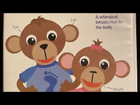 Baby Da Vinci 🐵 (GettyImages Stock Footage) - YouTube