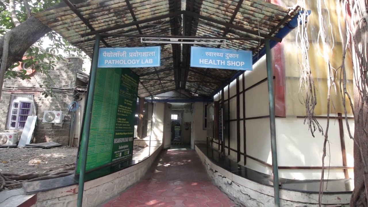 National Institute of Naturopathy, Pune - YouTube