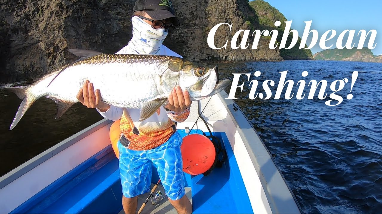 Tarpon & Jack Fishing Down The Islands - Trinidad & Tobago, Caribbean ...