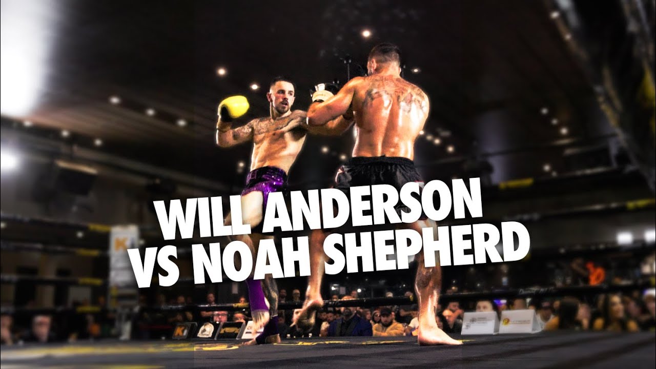 Will Anderson vs Noah Shepherd HIGHLIGHTS / K1 Kickboxing / - YouTube