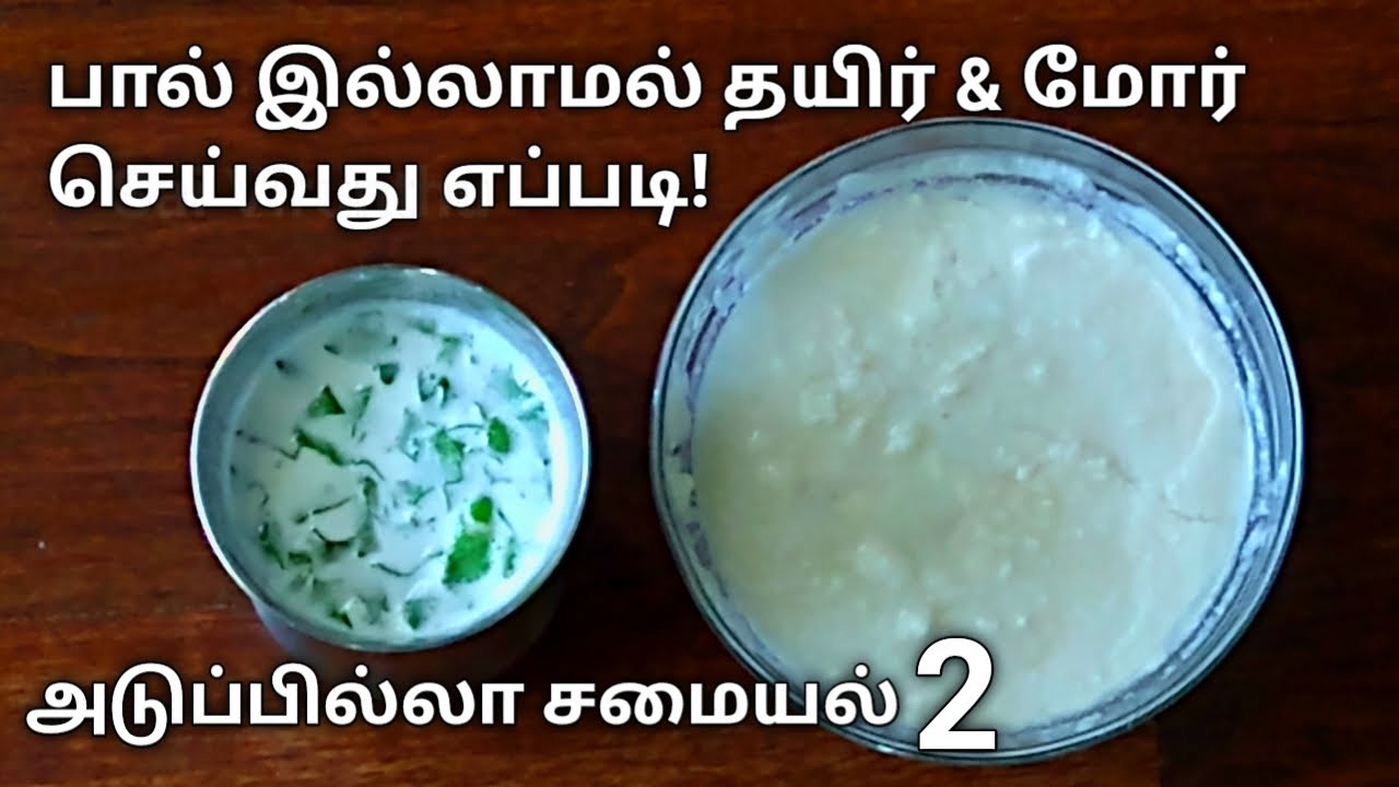 Fireless Cooking 2 | How to make Curd & Butter milk without milk | No ...
