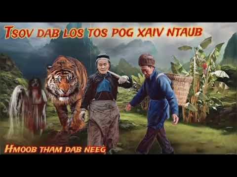 Dab neeg tsov thiab poj ntxoog los tos pog xaiv ntaub..29/8/2023 - YouTube
