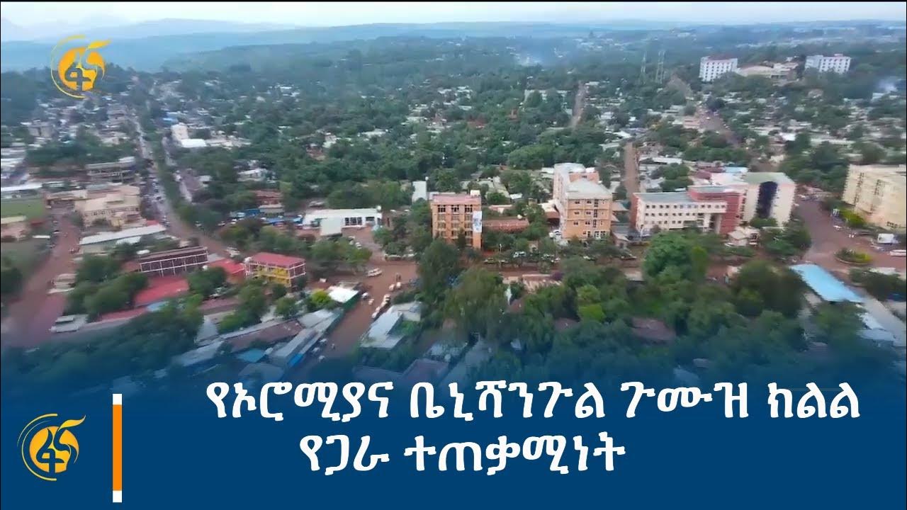 የኦሮሚያና ቤኒሻንጉል ጉሙዝ ክልል የጋራ ተጠቃሚነት Youtube