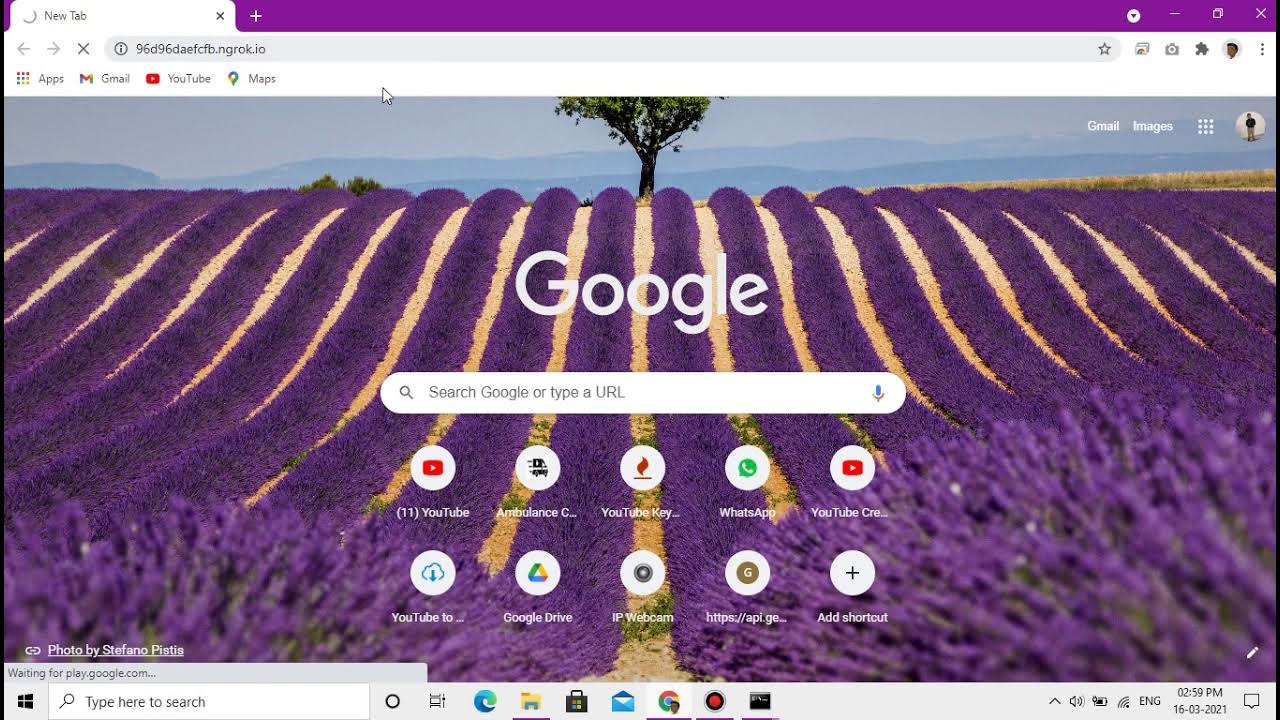 How to do Port Forwarding with Python Flask and NGROK - YouTube