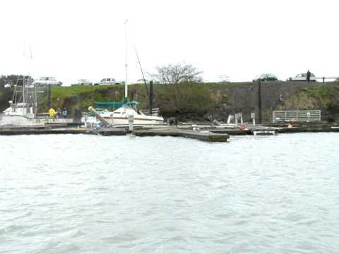 Brookings tsunami port March 13 - YouTube