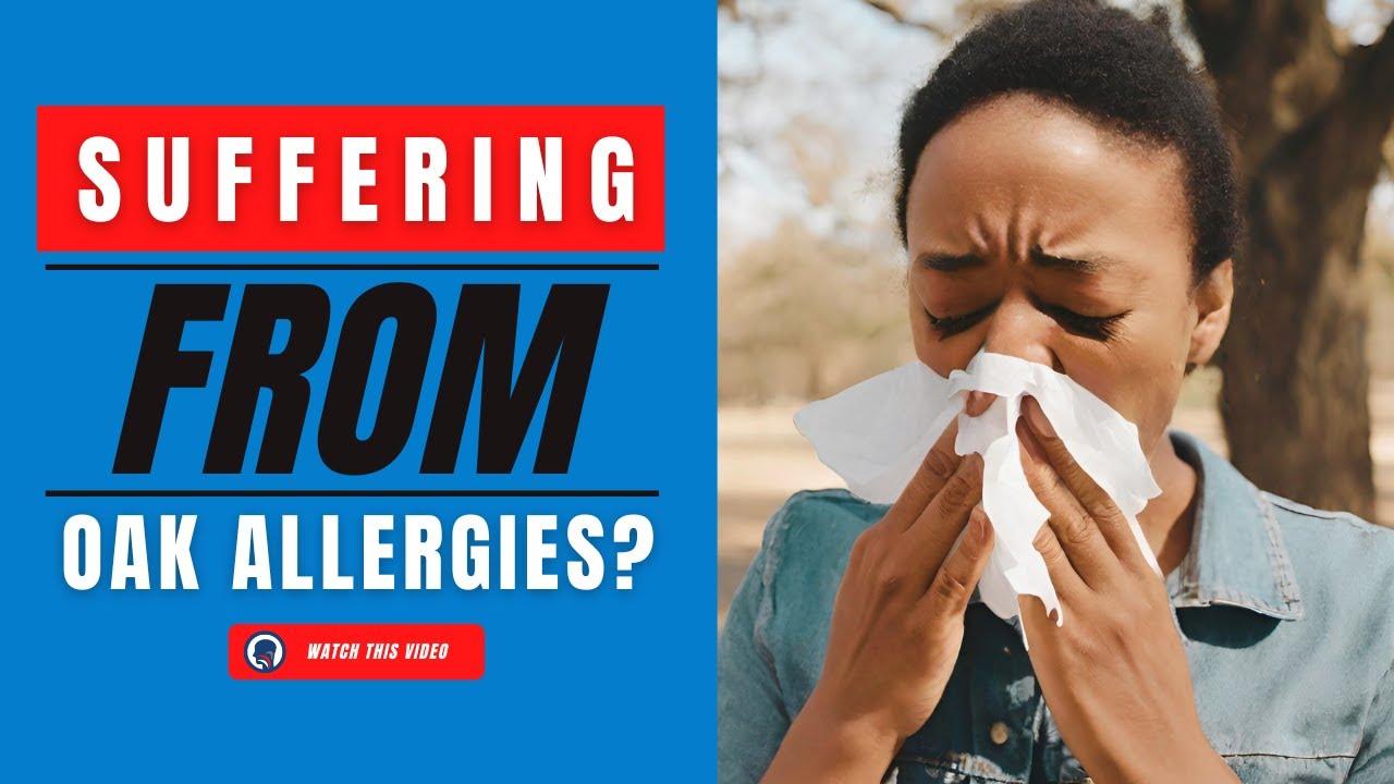Oak Allergies in Central Texas | Capital ENT - YouTube