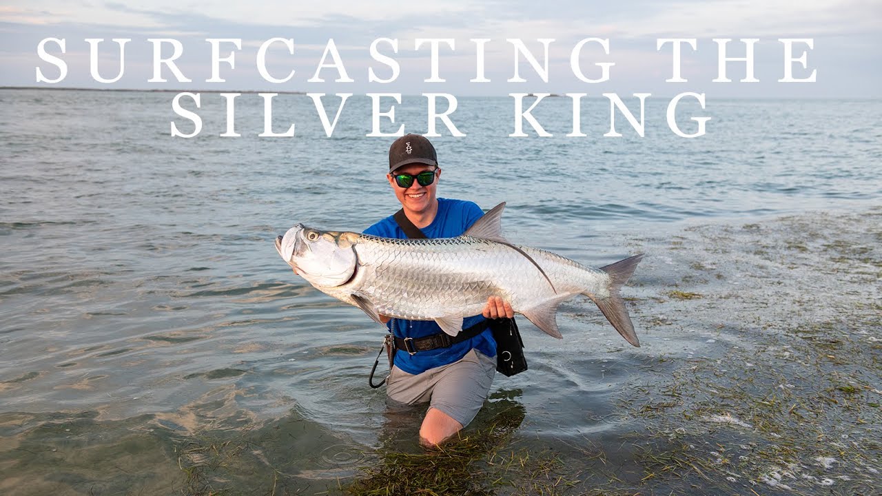 Surfcasting The Silver King #tarpon #tarponfishing #surffishing - YouTube