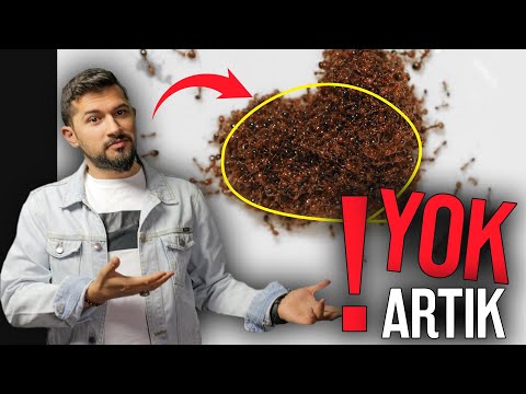 Karınca Yuvasına İçecek Dökmek! (Şaşıracaksınız)
