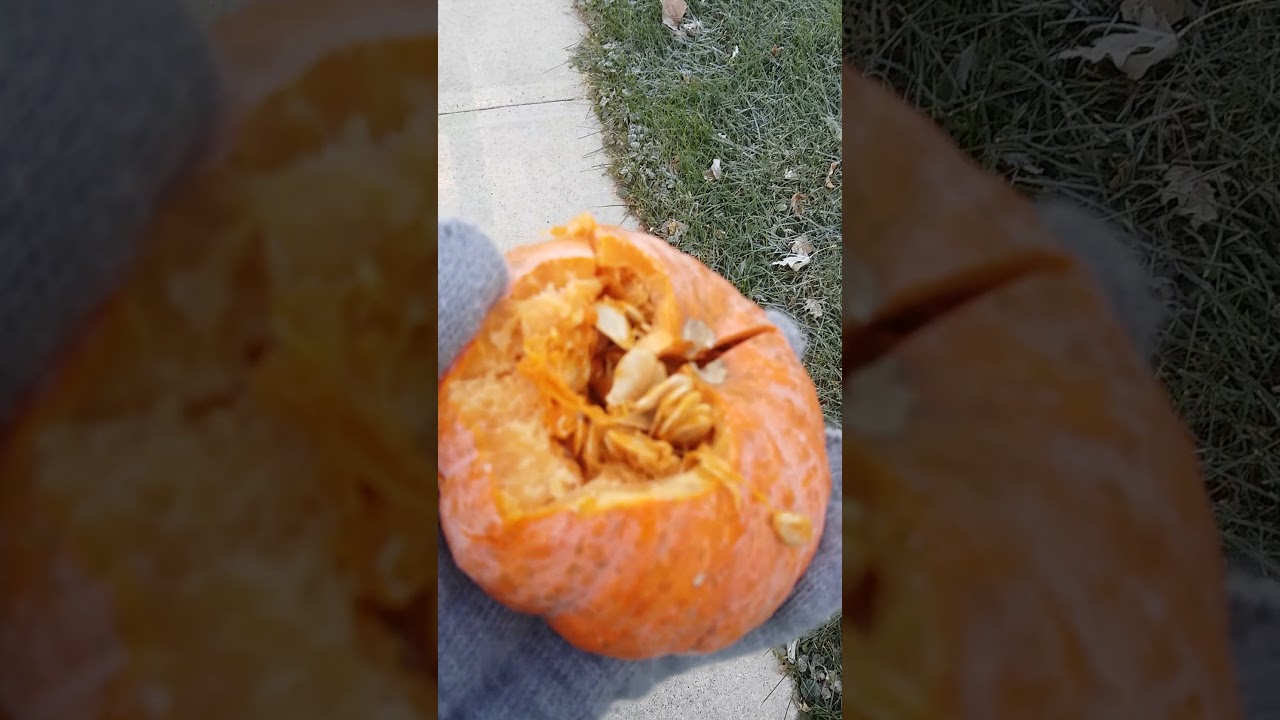 Breaking pumpkin in 26°F weather - YouTube