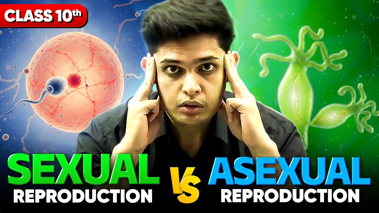 Sexual vs Asexual Reproduction?! 😱 | Class 10 Science | How Organisms ...