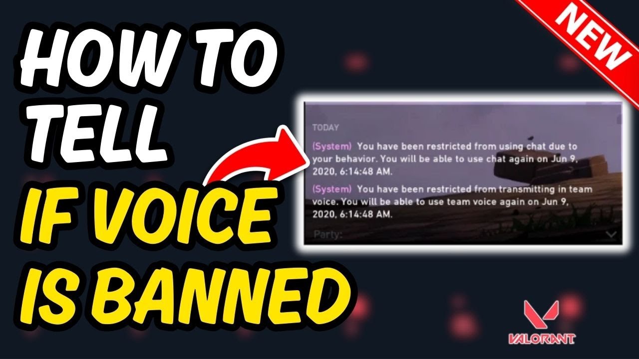How To Tell If Voice Is Banned in Valorant [ Quick & Easy ] - YouTube
