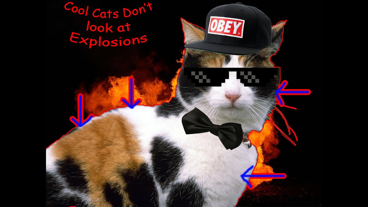 Cool Cats Don't Look At Explosions MLG PARODY - YouTube