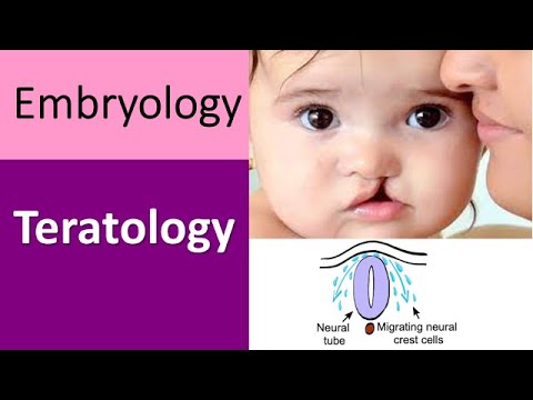 Teratology: The Science of Anomalies - YouTube