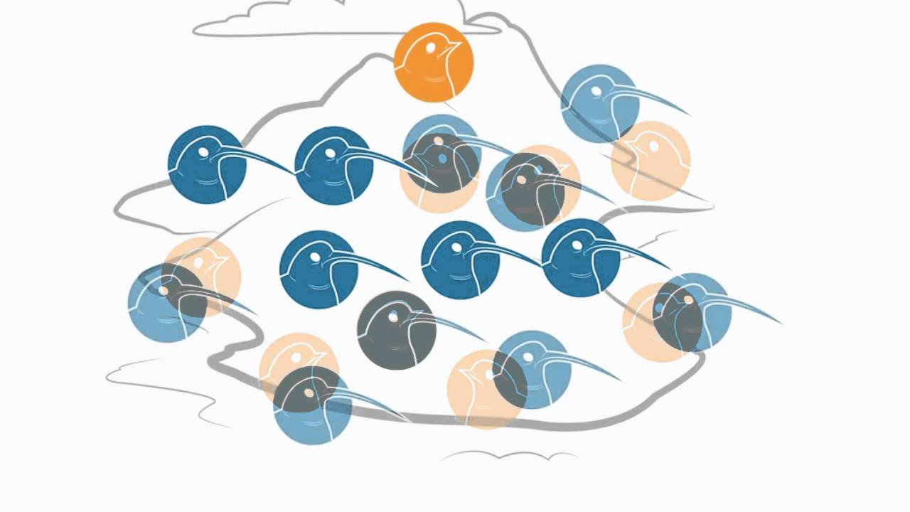 Natural Selection and Sexual Selection An Illustrated Introdu 2014 ...