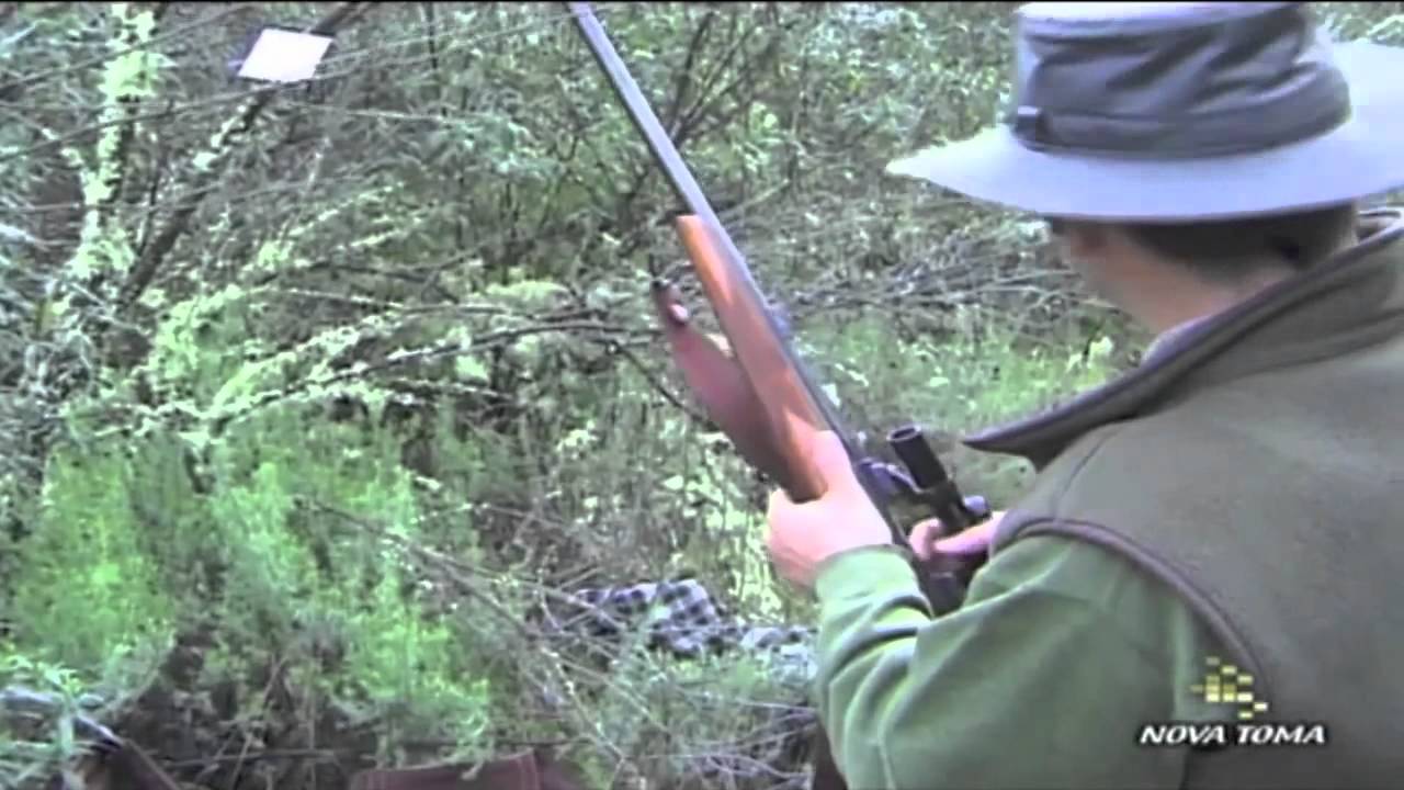 Hunting video - part 2 - YouTube