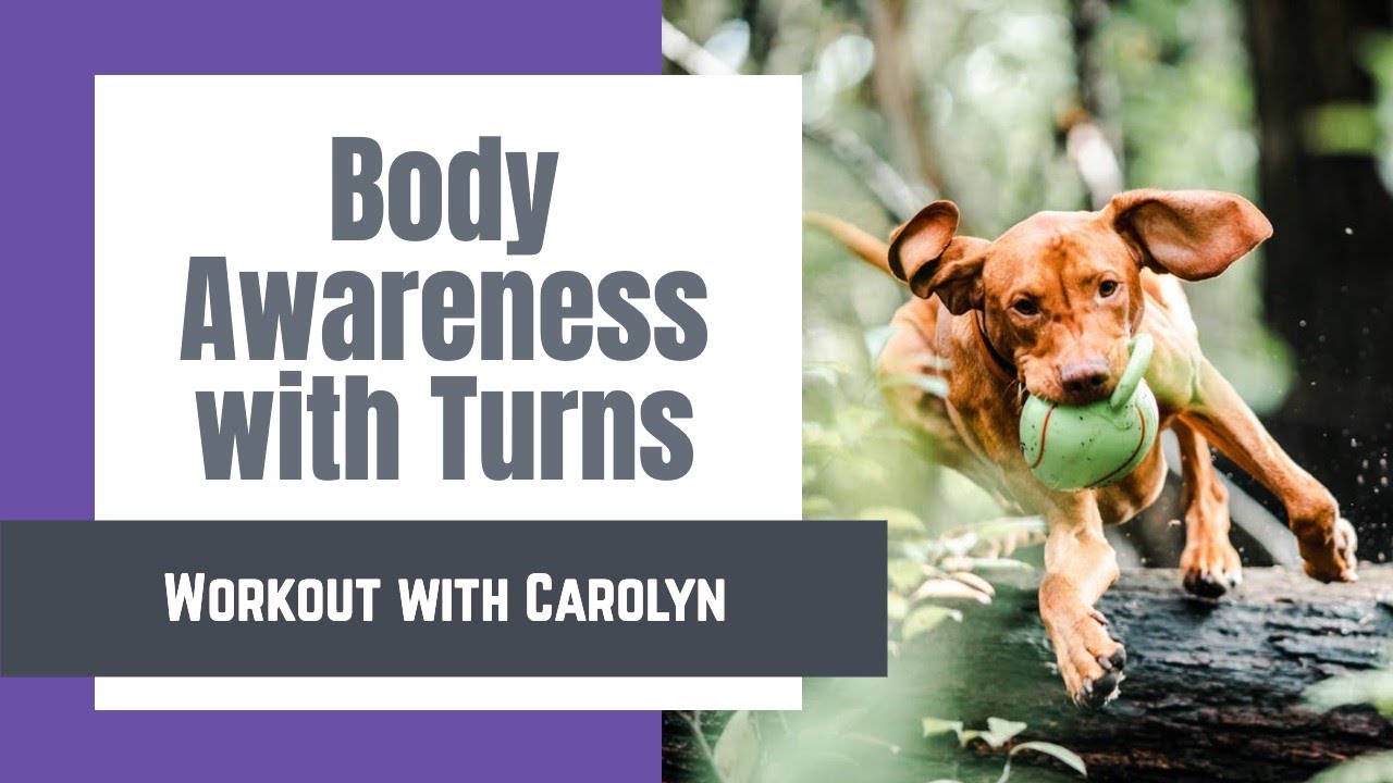 Body Awareness with Turns - YouTube