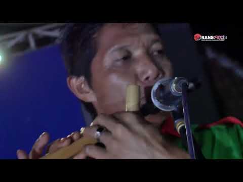 LEXA AURA - MAWAR PUTIH - LASKAR PRO