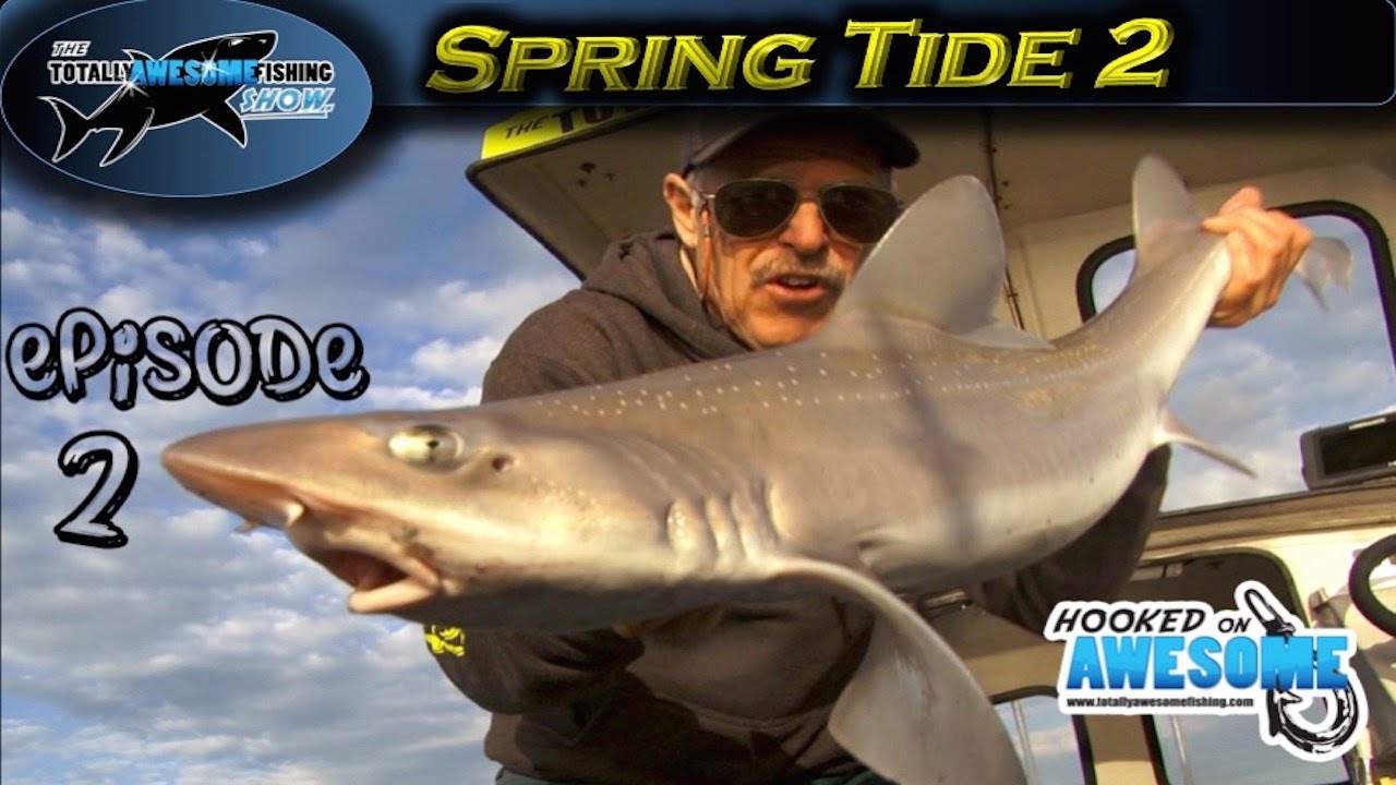 SPRING TIDE - Episode 2 - Smoothound & Rays | TAFishing - YouTube