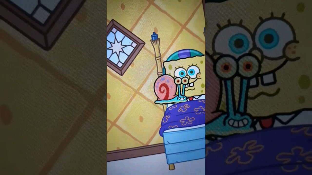 the story of tiddles - YouTube