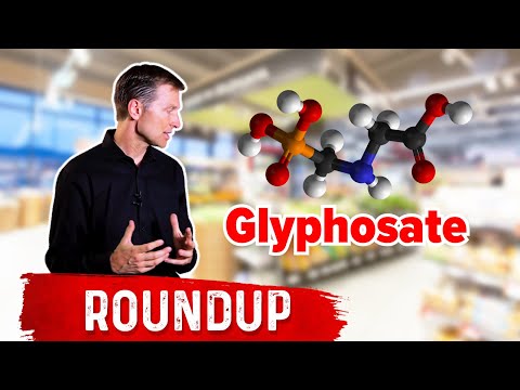 The Food With the Highest Glyphosate (Roundup)
