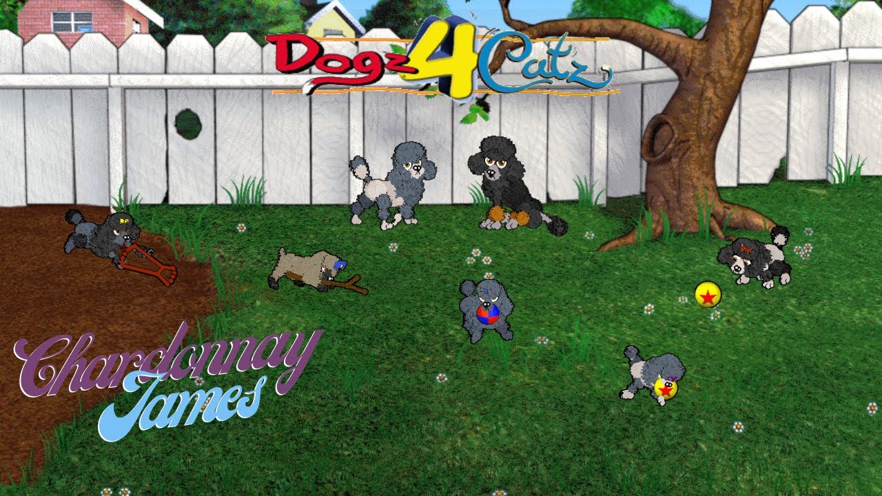 Chardonnay X James Litter #1 - PF Magic Petz 4 - YouTube