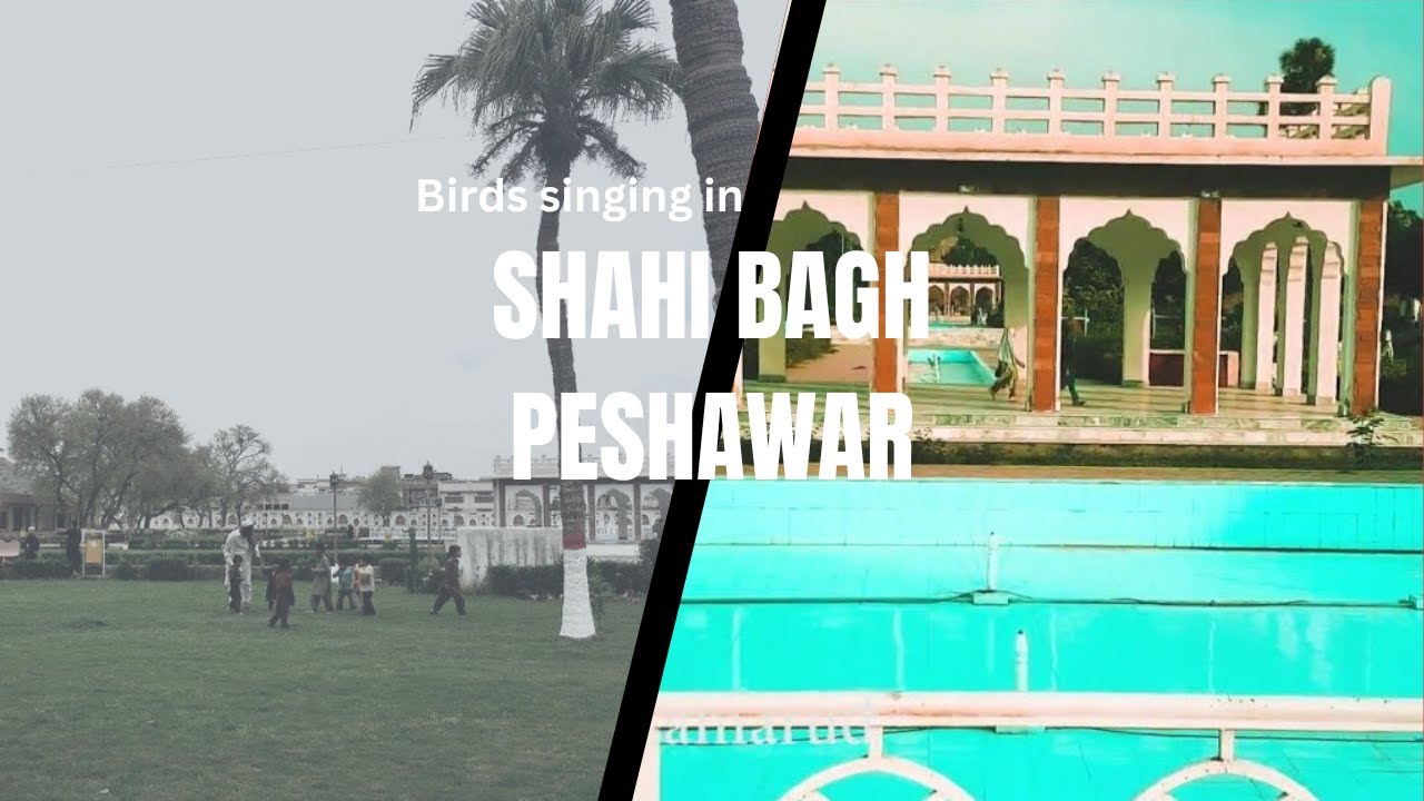 Shahi bagh peshawar | Best tourist place in peshawar | Shalimar garden ...